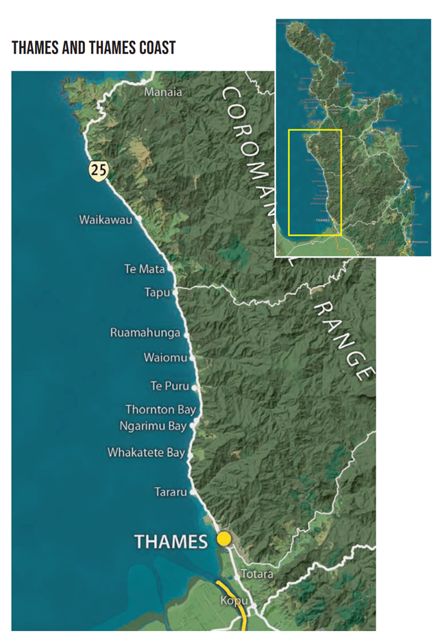 Thames and Thames Coast Coastal Panel | TCDC