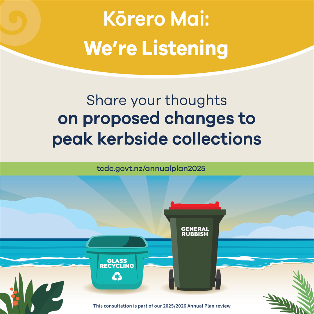 Annual Plan 2025/2026 | TCDC