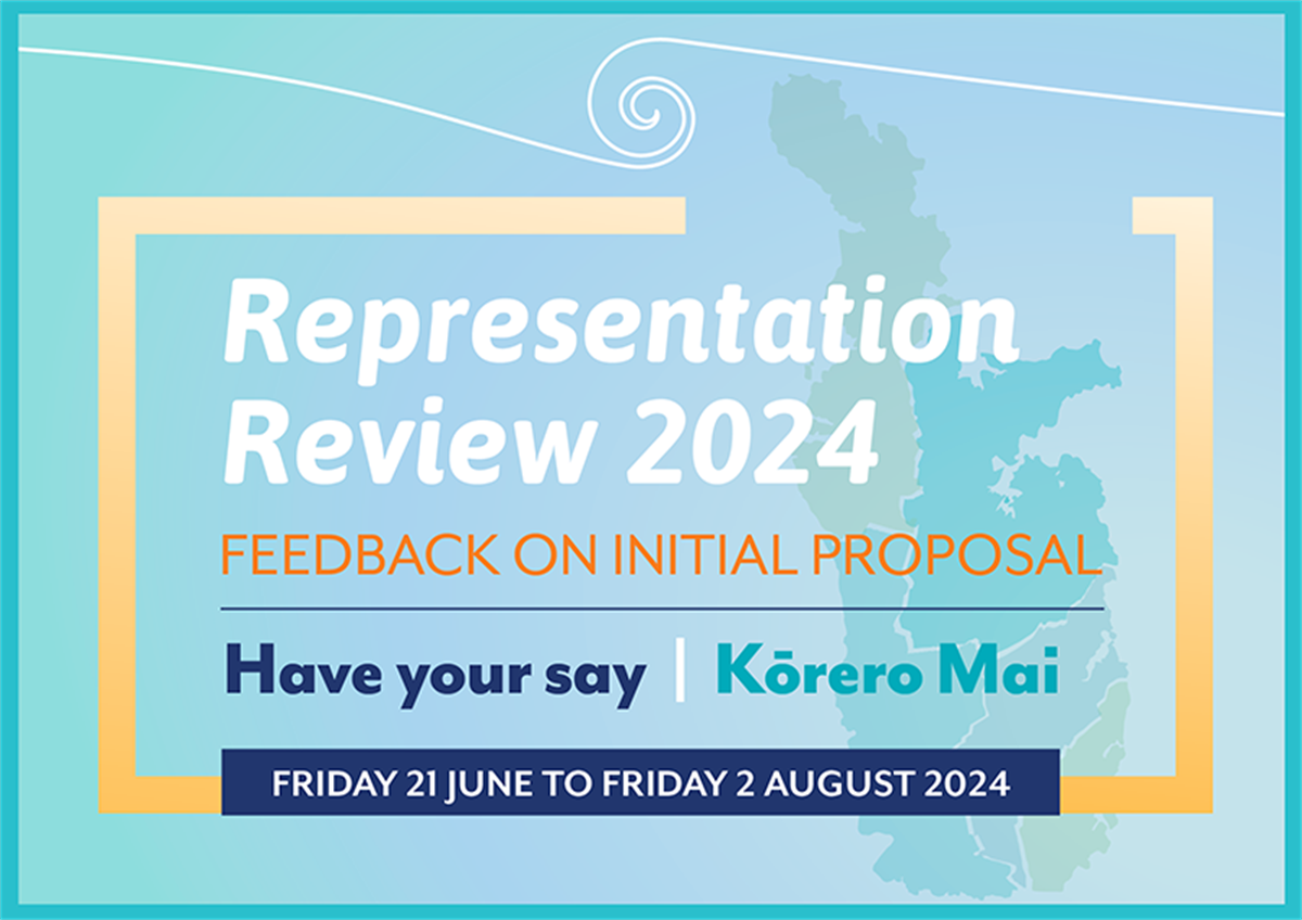 Have your say – Representation Review 2024 | TCDC