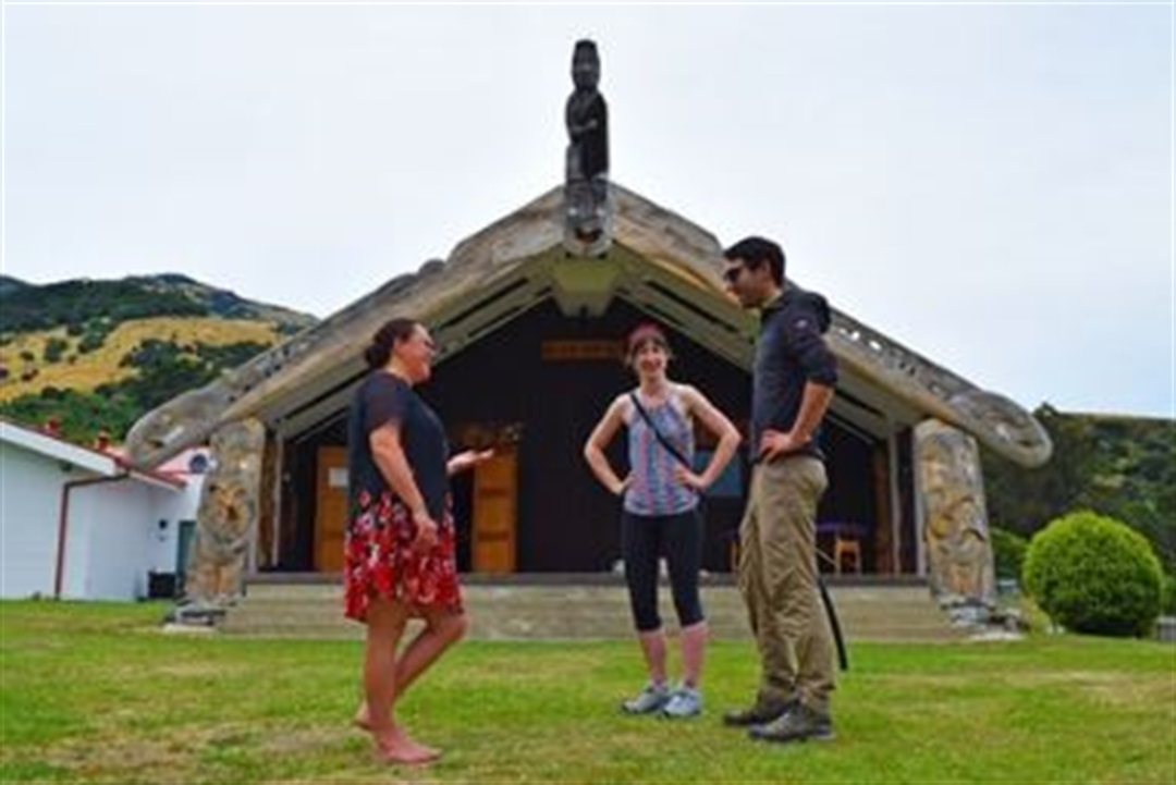 Poll to determine future of Māori ward in Thames-Coromandel | TCDC