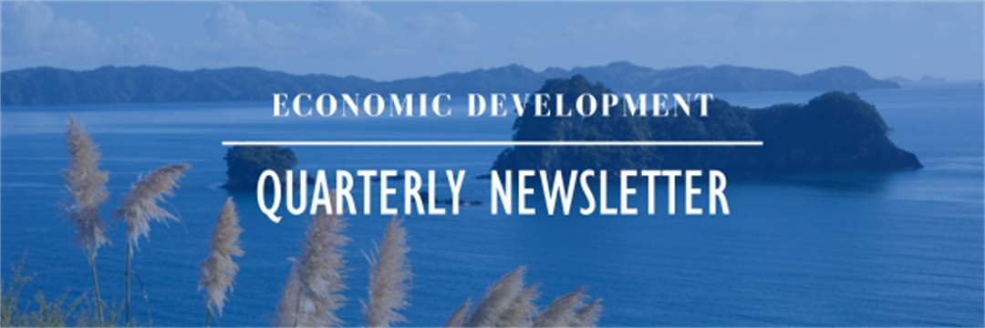 Kickstarting 2025: Our Economic Development newsletter | TCDC
