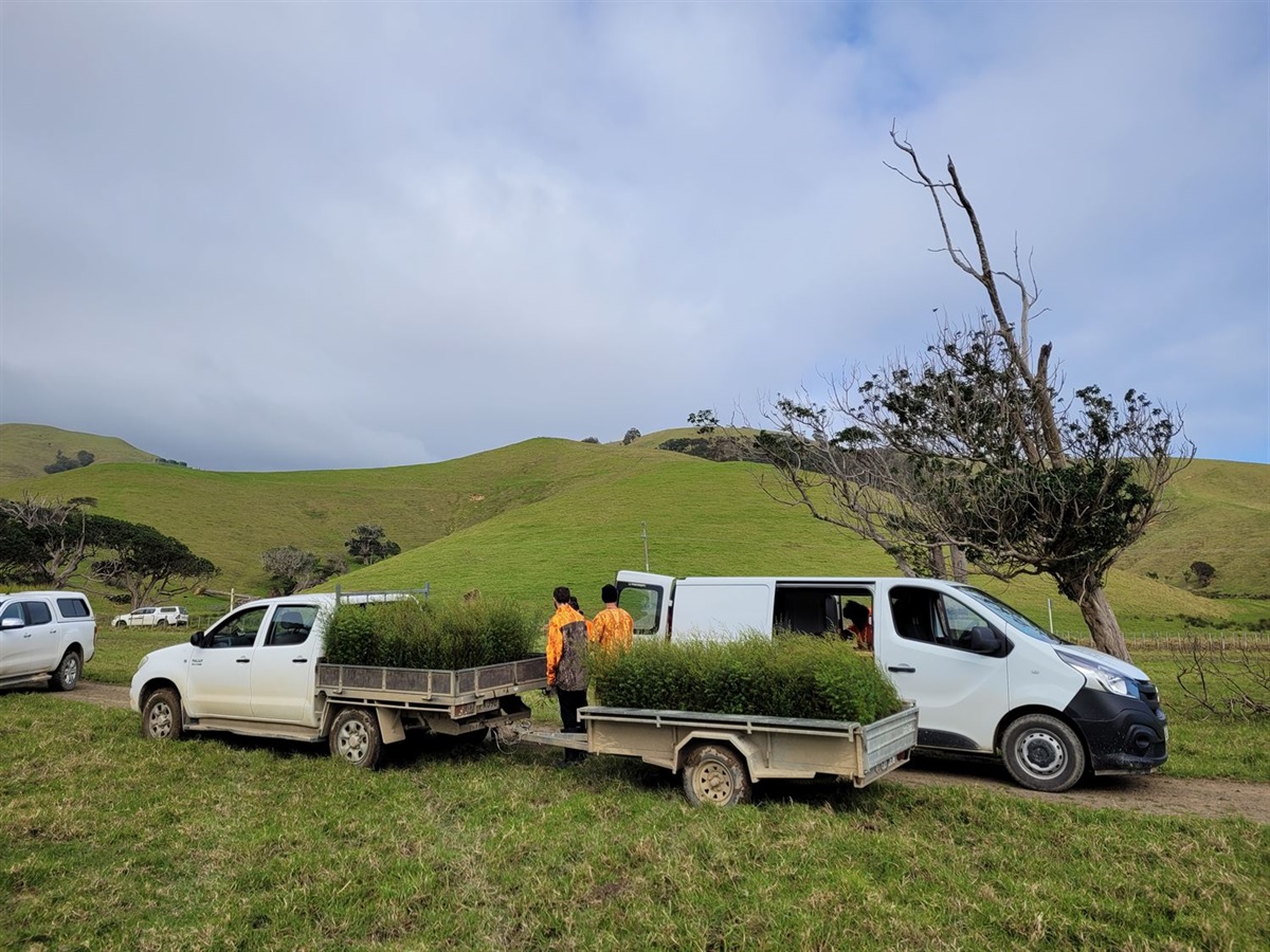 Mayors Taskforce for Jobs planting seeds for success in young people | TCDC