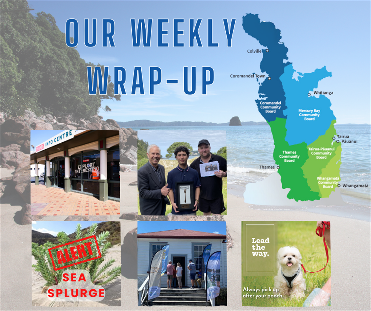 Weekly wrap-up: New info centre for Thames, Summer Concert, projects | TCDC