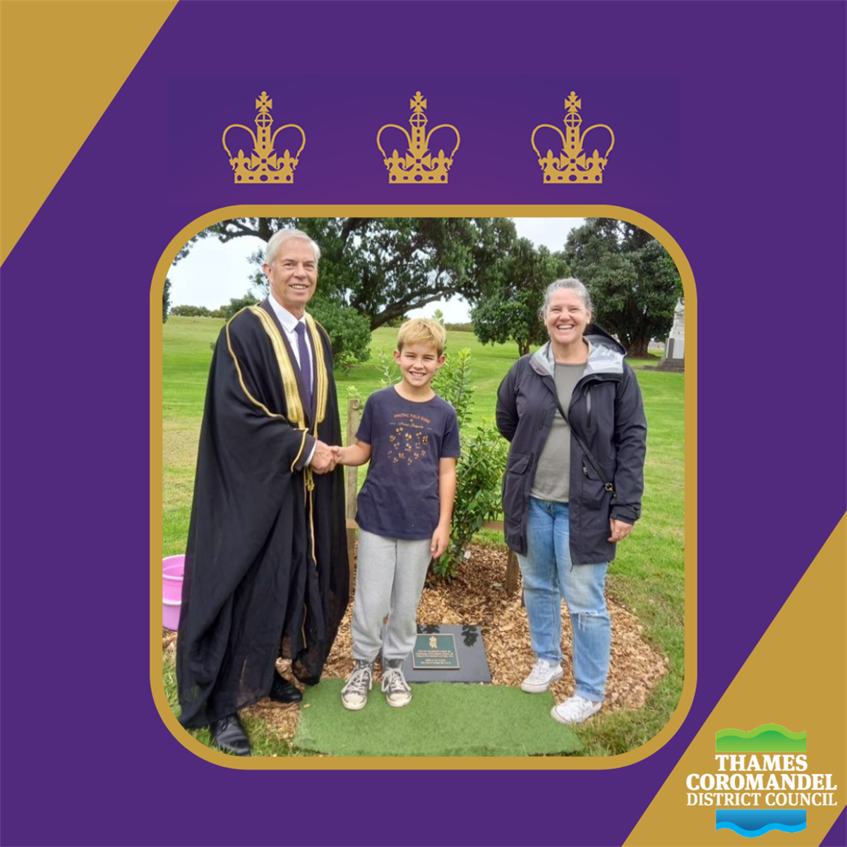 Yello, it's dog rego time, King's birthday weekend info and more | TCDC