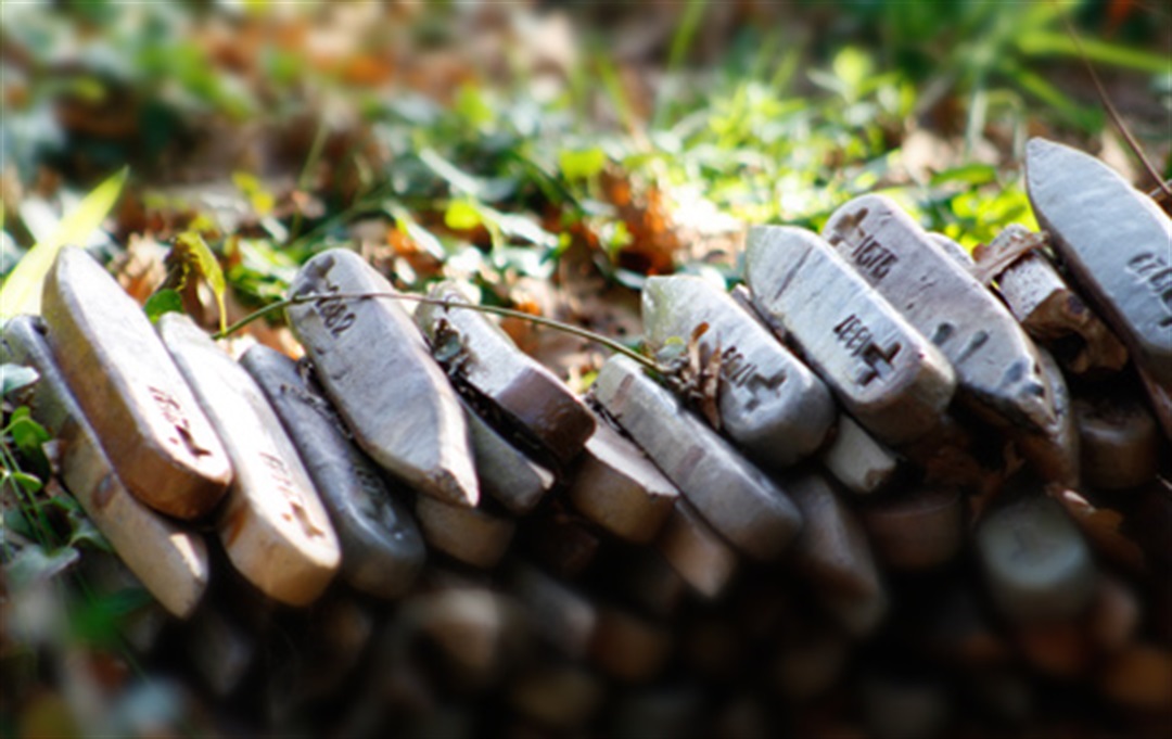 Online Cemetery Search | TCDC