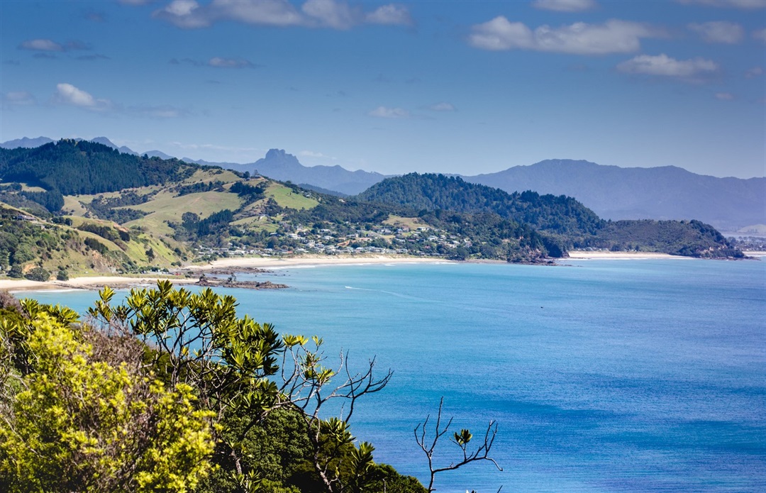 District Plan | TCDC