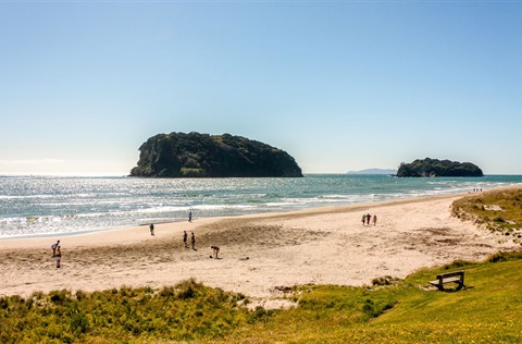 Our Wards Information | TCDC