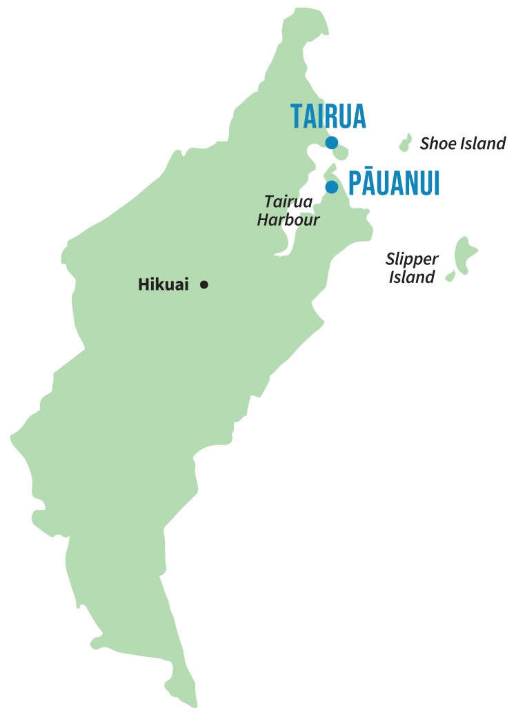 Tairua-Pāuanui (South Eastern Ward) | TCDC