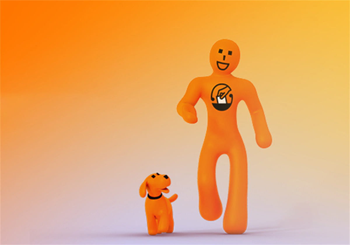 2025 Local Election: District Councillor Profiles | TCDC