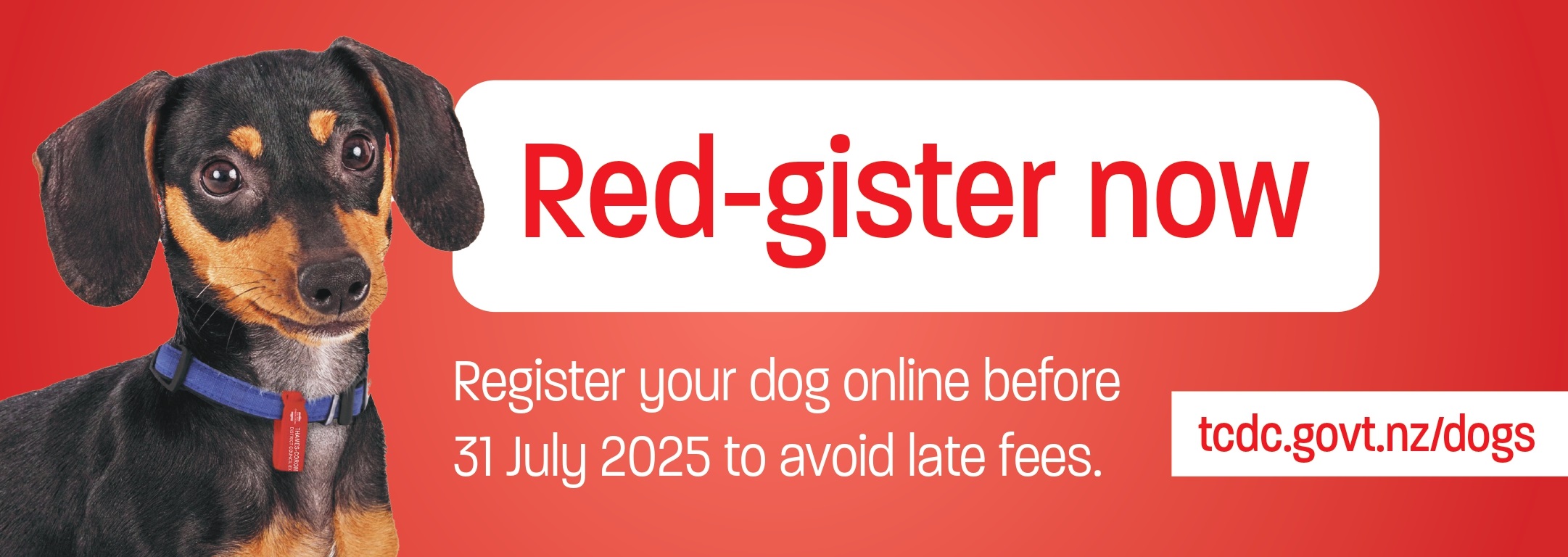 Renew Dog Registration | TCDC
